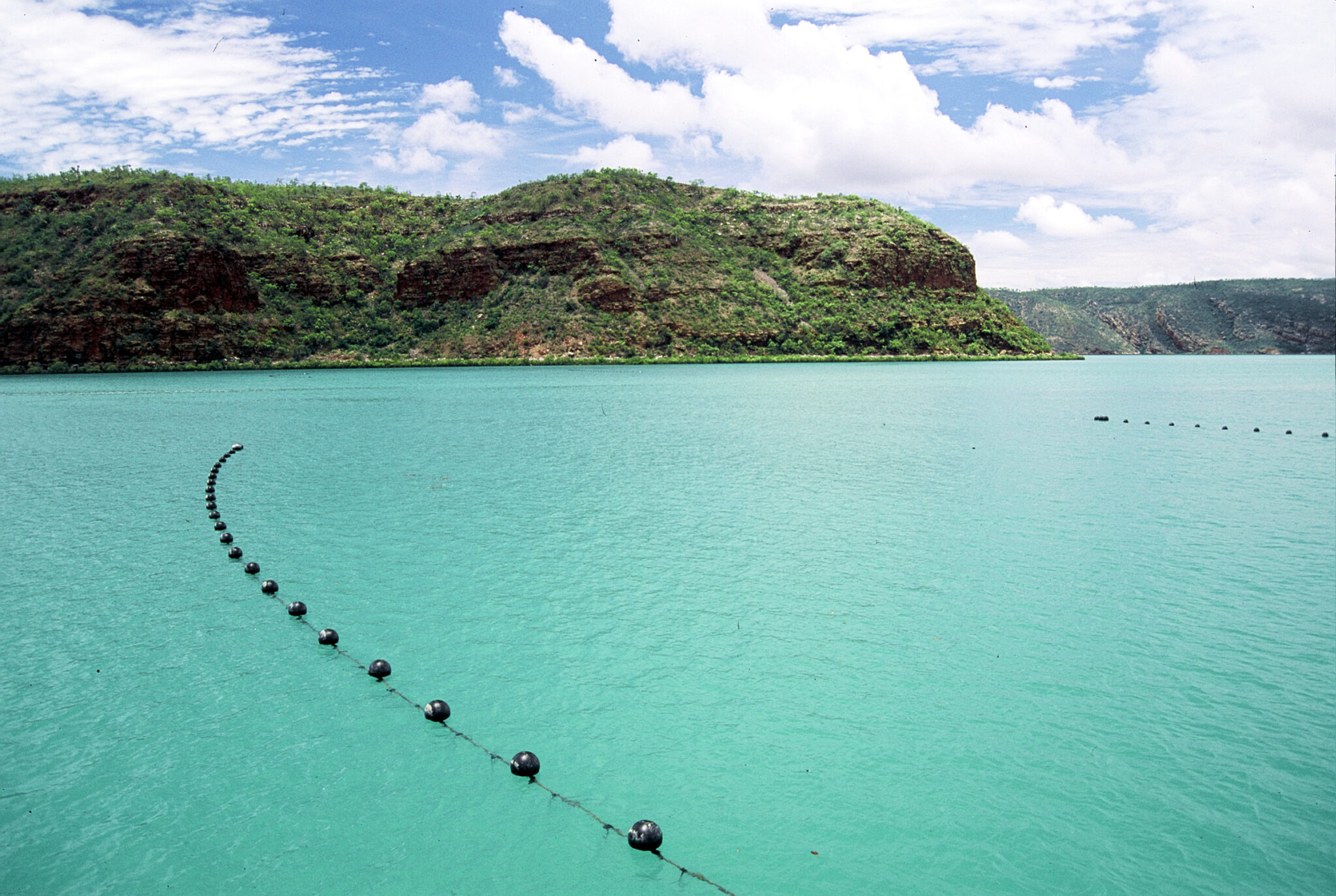 History of Australian South Sea Pearls - Allure South Sea Pearls